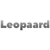 Штатная магнитола для Leopaard | Купить магнитолу для Leopaard ...